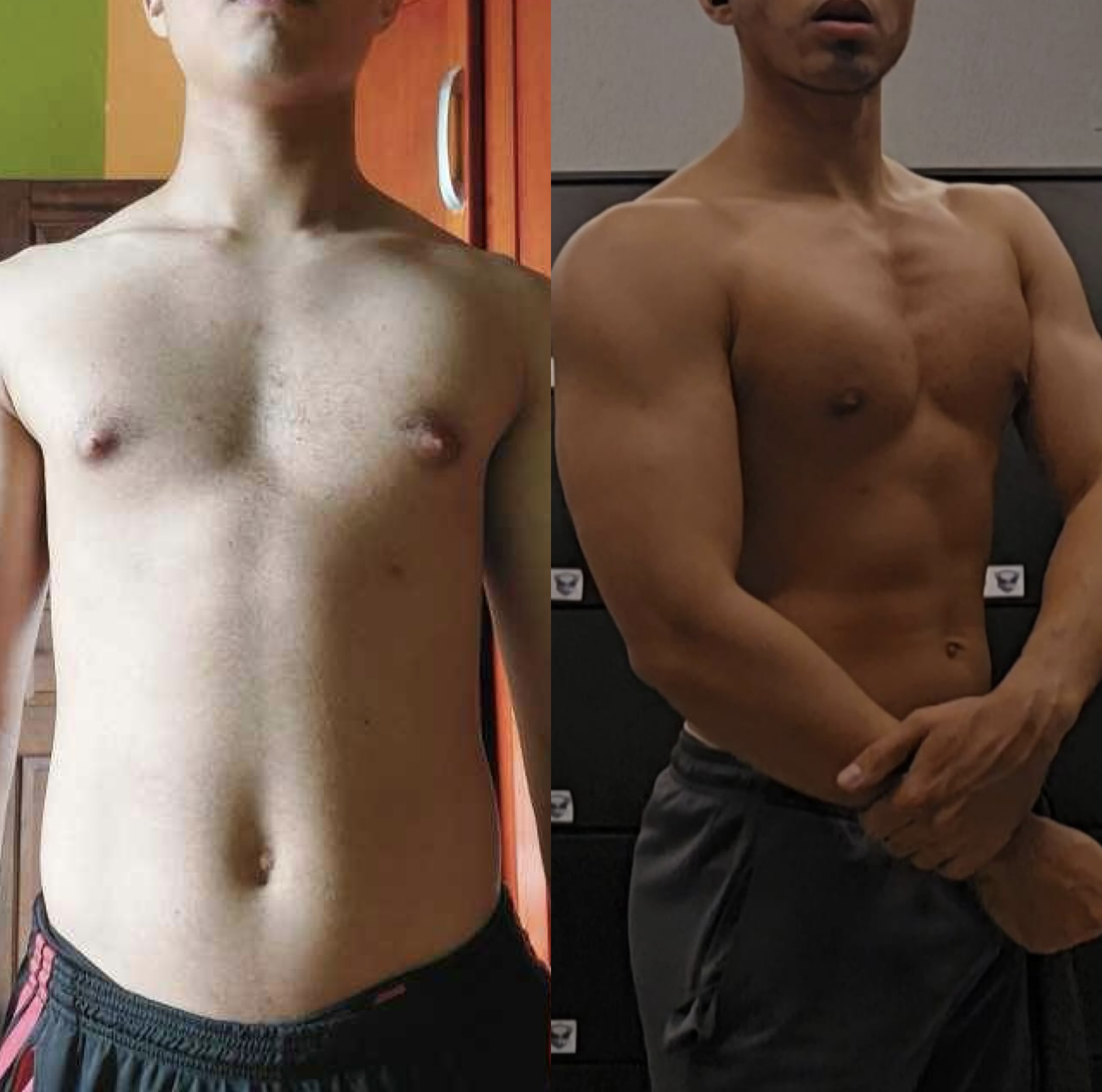 Ygor Taramelli - Nutrição